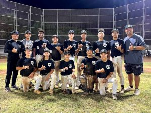 Hawaii Baseball Association – HiBA – Independent Baseball League for ...